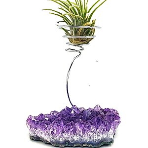 Air Plant Crystal Holder (XL) - Amethyst Airplant, Air Plants Crystals, Crystal Air Plant Holder, Amethyst Air Plant In Crystals, Air Plant Stone, Air Plant Pot, Air Plants in Crystals, TheCrystalCafe