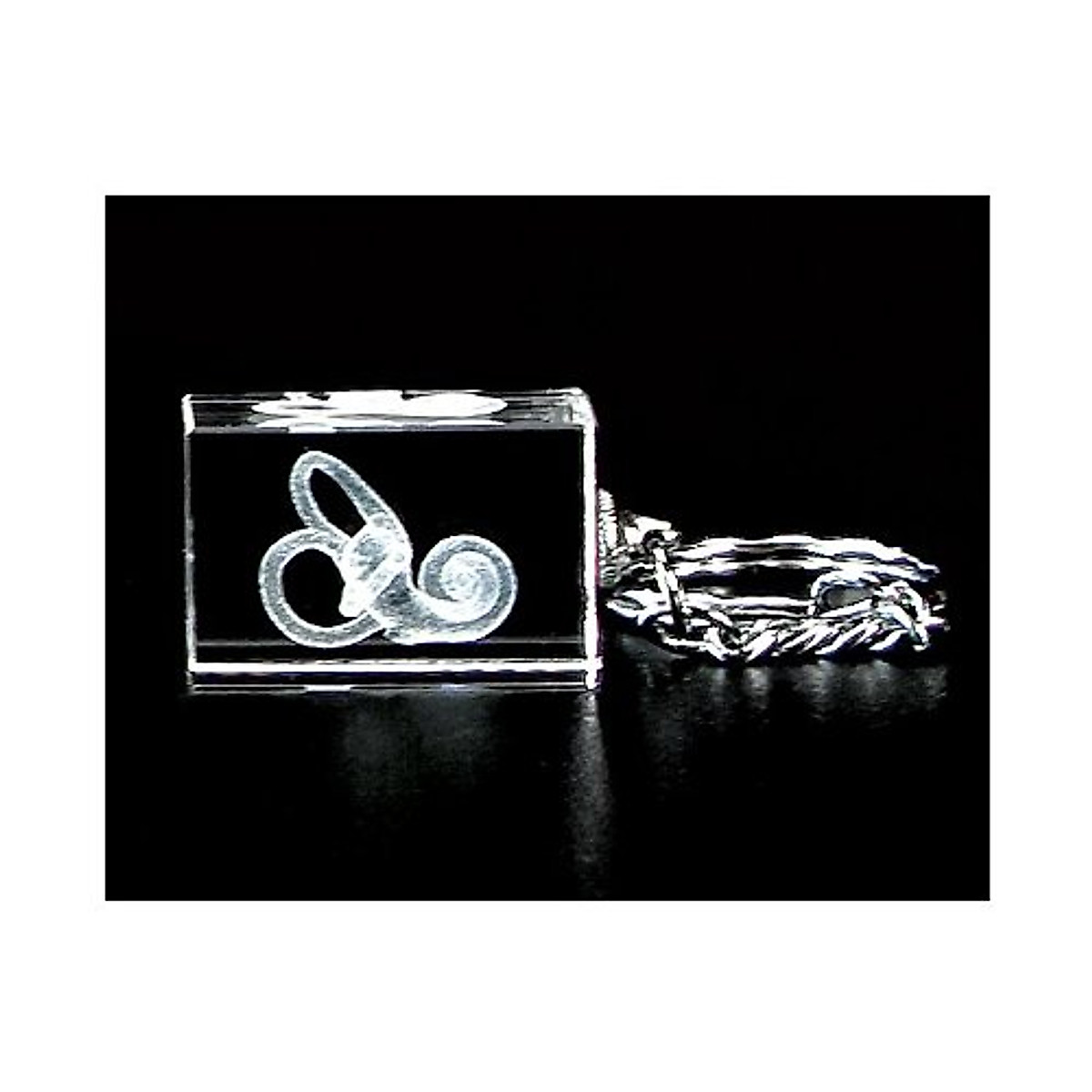 Hearing Gift Box Collection 2, 12 Pack for Audiologist, Students or Hearing Professional