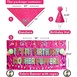Odi Style Dog Birthday Party Supplies - Dog Birthday Girl Gift Set - Dog Birthday Bandana for Large, Medium Dogs, Puppy, Dog Party Hat and Cute Dog Birthday Banner, Pink