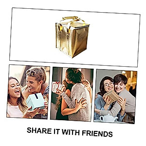 NOLITOY Insulated Grocery Bags 2pcs Baking Tote Foldable Lunch Bag Pizza Warmer Bags Insulated Portable Cooler Delivery Insulated Food Delivery Bag Cake Pizza Packaging Bag Heating