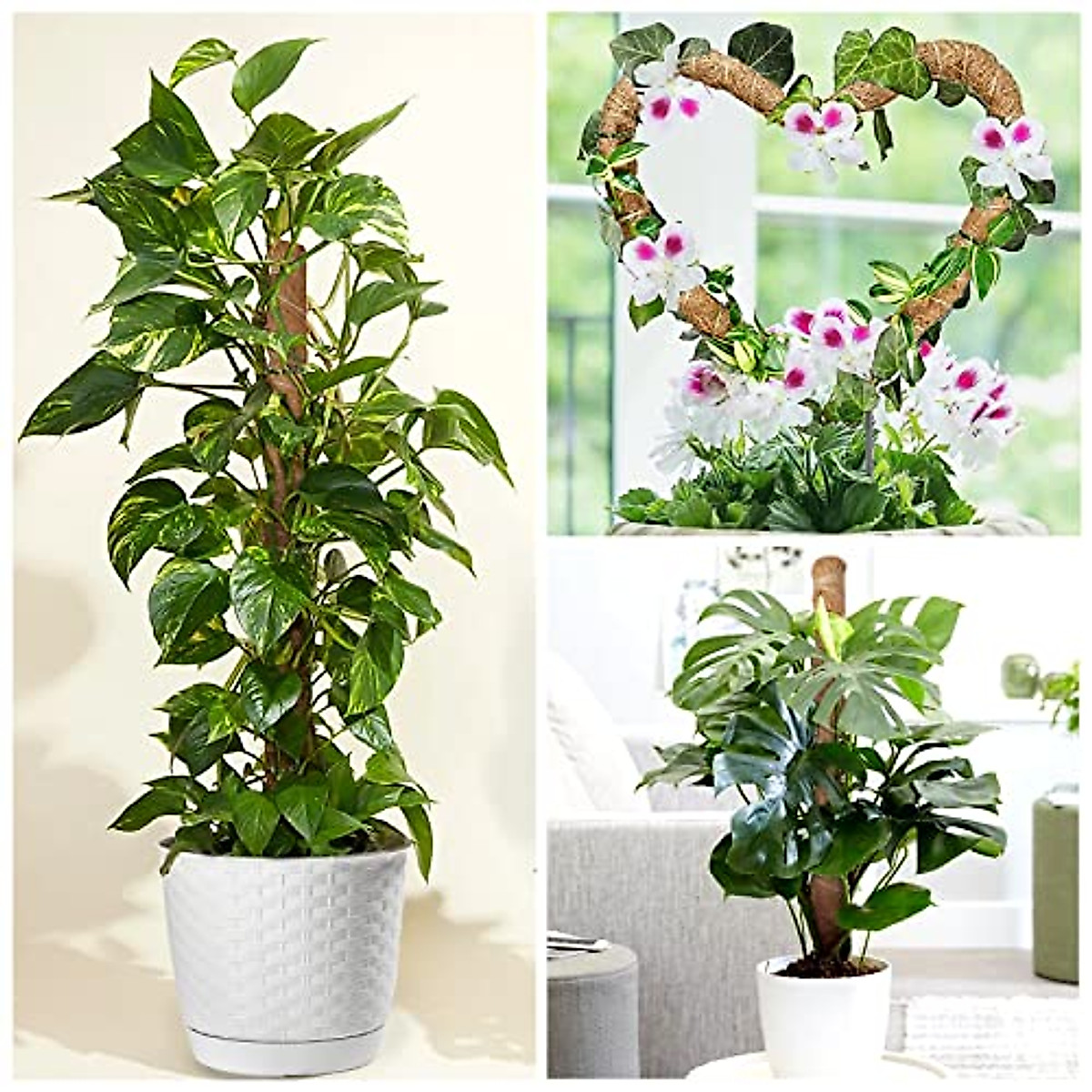 SMINDER Moss Pole for Plants Monstera, 2PCS 47.2 Inch Bendable Plants Stakes, Coco Coir Pole Potted Plants Support, Plant Sticks for Indoor Climbing & Growing Upwards