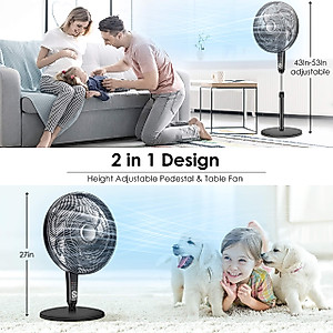 Garifon 16lbs Bean Bag Filler, Bean Bag Filling Bean Bag, Pedestal Fan