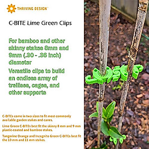 C-BITE Garden Clips Customizable, Reusable, and Strong Connections to Metal or Bamboo Stakes. Create Custom Support Solutions Clips Build Sturdy Tomato Cages, Climbing Vine Trellis (Lime)
