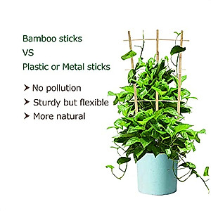 Cambaverd 3 Pack Min Bamboo Trellis 16 in Fan -Shaped Plant Support Trellis with Twist Ties for Indoor Mini Climbing Plants Hoya Potted Plants House Plants Vine Ivy