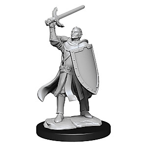 D&D Nolzur's Marvelous Miniatures: Half-Elf Paladin Male