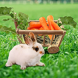 Shuoxpy Rabbit Hay Feeder Rack, Guinea Pig Wooden Carriage Hay Feeder, Chinchilla Alfalfa Timothy Hay Dispenser, Less Wasted Small Animals Hay Manger for Rabbits Guinea Pig Chinchilla