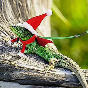 1 Set Bearded Dragon Christmas Costume, 7pcs Bearded Dragon Christmas Clothes Accessories Bearded Dragon Scarf Santa Hat Small Lizard Leash Harness for Reptile Christmas Holiday Cosplay (Green & Red)