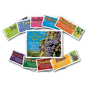 NORTH STAR TEACHER RESOURCE Fruit of The Spirit Bulletin Board Set