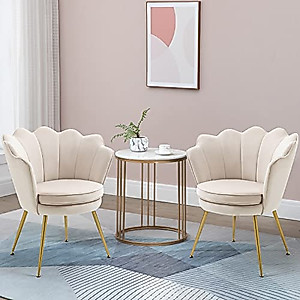 WQSLHX White Velvet Accent Chair Set of 2 for Living Room, Armchair Modern Accent Chair Vanity Chair for Bedroom, Comfy Arm Chair with Lumbar Pillow and Golden Metal Legs