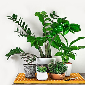 Cinnvoice 1 Pcs 36 x 25 in Fiberglass Molded Grating Floor Bar Frp Grating 1.5 x 1.5 in Square Panel Grille for Tree Grate, Pigeon Loft, Trenches, Drainage, Decks