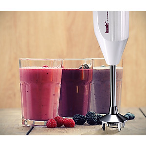 Bamix Pro-2 G200 Professional Series NSF Rated 200 Watt 2 Speed 3 Blade Immersion Hand Blender with Wall Bracket