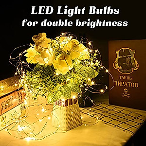 HAOBAOBEI USB Christmas Lights Plug in, 66ft 200 Led Silver Copper Wire Fairy String lights with Remote, Warm White Firefly Twinkle Lights for Bedroom Party Centerpiece Patio Christmas Tree Decoration