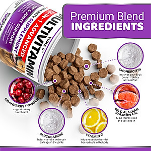 Dog Multivitamin Chewable with Glucosamine - Dog Vitamins and Supplements - 170 Treats - Senior & Puppy Multivitamin for Dogs - Hip & Joint Support - Immune Health, Skin, Heart, Digestion, Probiotics