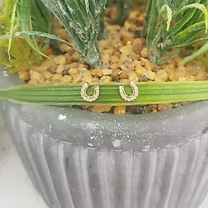 Dazzlingrock Collection 0.13 Carat (ctw) 14K Round White Diamond Ladies Horse Shoe Earrings, Yellow Gold