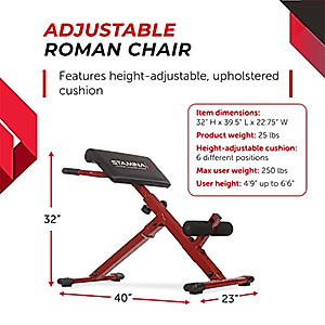 Stamina X Hyperextension Bench - Adjustable and Foldable Roman Chair with Smart Workout App for Home Workout - Up to 250 lbs Weight Capacity