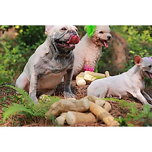 BENRIKIDS Real Coffee Wood Dog Chew, Long Lasting, Durable Chewable Stick and Dog Toy, Wood Chew Toy for Dogs, Dental Care & Chewing Muscle Training Coffee Wood Stick for Dogs, 1Pc Size M