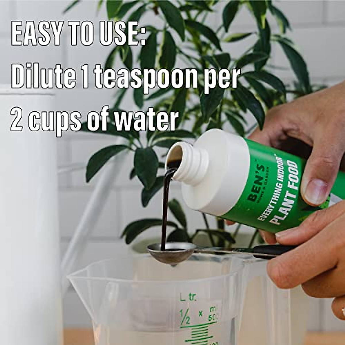 Ben's Home & Garden Everything Indoor Plant Food with Kelp | Liquid Concentrate Indoor Plant Fertilizer 3-3-3 All Purpose Plant Food for House Plants (8 Ounce)