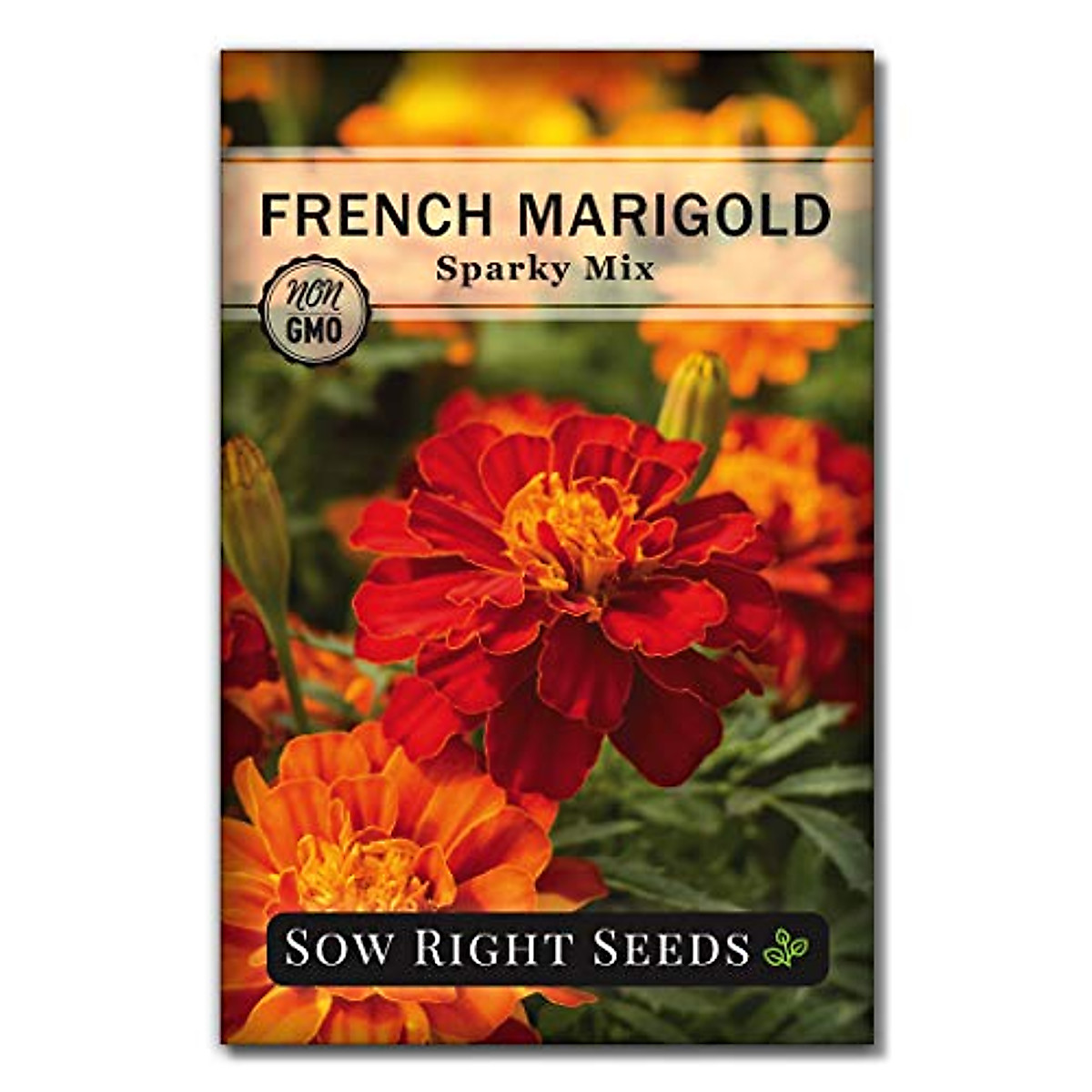 Sow Right Seeds -Sparky Marigold Seeds for Planting, Beautiful to Plant in Your Flower Garden; Non-GMO Heirloom Seeds; Wonderful Gardening Gift (1)