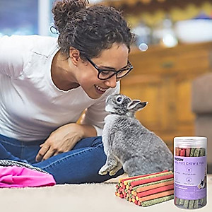 ERKOON 40Pcs Timothy Hay Sticks, Chinchilla Treats, Chew Toys for Teeth for Bunnies Guinea Pigs Gerbil