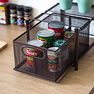 Home Zone Living Under Bathroom Sink Organizer – Sliding Basket, Inside Cabinet Storage