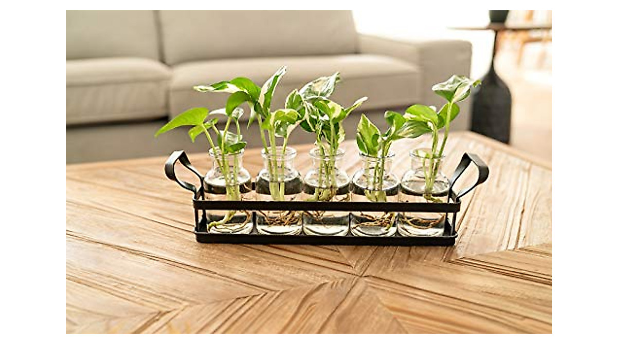 Mkono 5-Bottle Plant Terrarium: Hydroponic Propagation & Decor