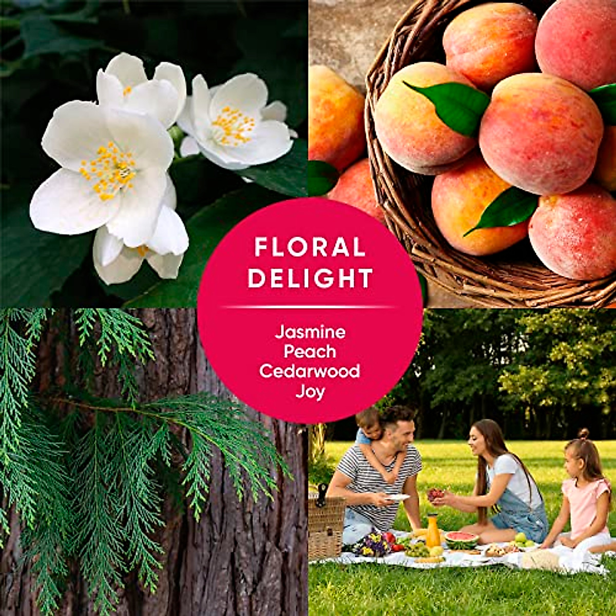 PINALEN Max Aromas Floral Delight Multipurpose Cleaner, Kitchen, Floor, Bathroom and Surface Cleaning Product for Home 56 fl.oz.