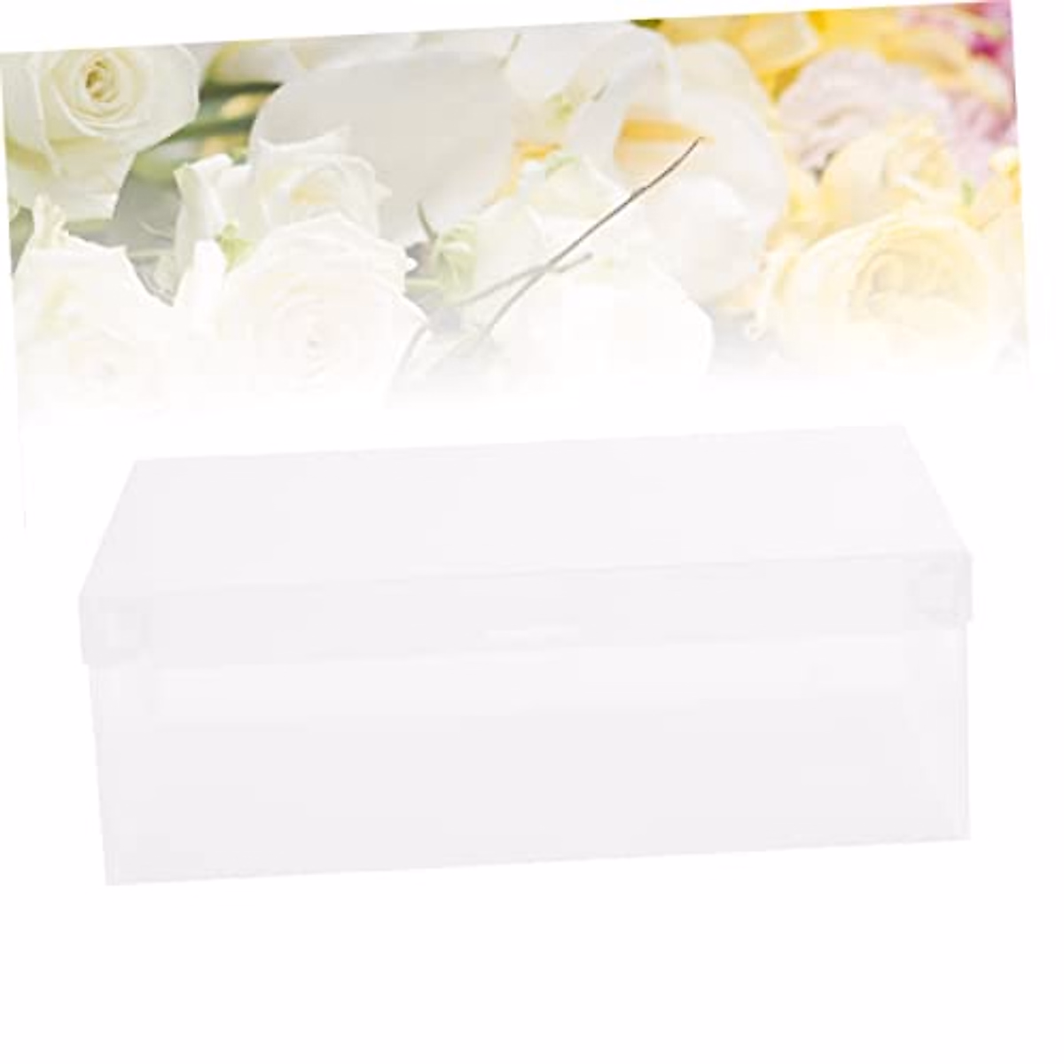 Alipis clear plastic organizer bins de transparente girl Clamshell white