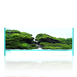 Fzone 1.7 Gal Nano Rimless Aquarium Low Iron Fish Tank NovaClear Ultra-White Translucent Glass Verso Series Nano Shallow Pond Levitating Floating Air Aquarium(A30-W18)