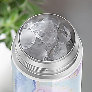 THERMOS FUNTAINER 12 Ounce Stainless Steel Vacuum Insulated Kids Straw Bottle, Dreamy