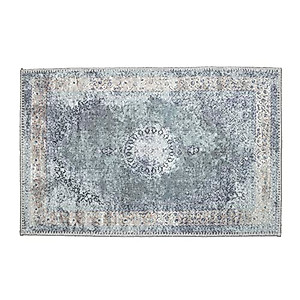 RugOver Machine Washable Area Rug, Pet Friendly & Resistant Indoor Carpet for Kitchen, Bathroom, Living Room (Ash/Champagne, 2' x 3')