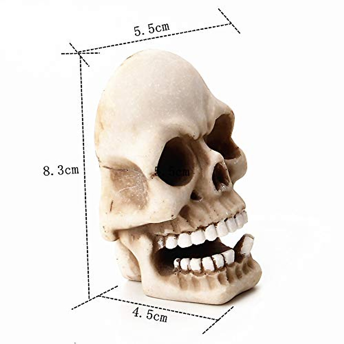 Skull Sculpture Storage Hook Skeleton Wall Mount Resin Creative Ornament Statue for Gift Halloween Party Decor