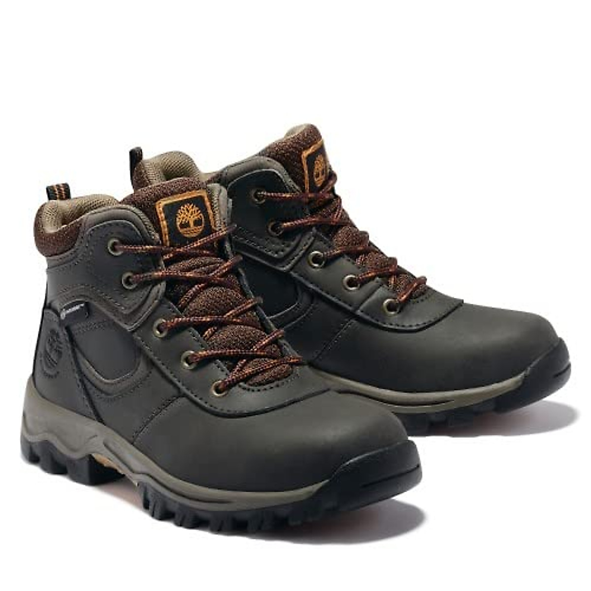 Timberland baby boys Youth Mt. Maddsen Timberdry Waterproof Hiking Boot, Dk Brown Full Grain, 3 Little Kid US