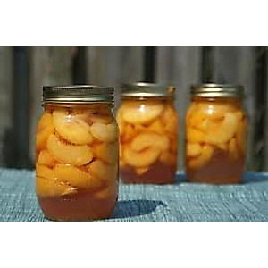 Kerr Regular Mason Jar Canning Lids, 96 lids, (8 dozen), (Lids Only; No Rings)