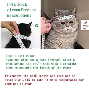 Himalayan Star Cat Dog Cone Collar pet Protective Cover , cat Dog Collars for After Surgery,to Prevent Pets from Licking Wounds (6# XS)