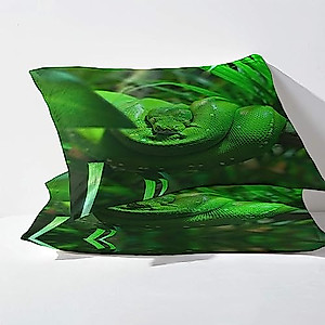Snake Sheets Full Size, Green Animal Bed Sheets, Patterned Bedding Sheets & Pillowcases 4 Piece Set - Soft Microfiber Deep Pocket Fitted Sheet & Flat Sheet & 2 Pillow Cases K8-&-263
