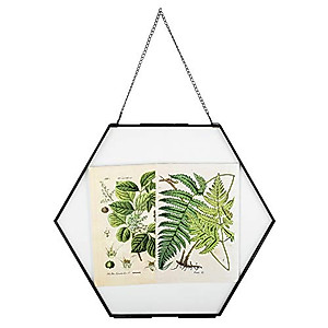 NCYP Side Length 6.8 inches Large Hanging Black Hexagon Herbarium Brass Glass Frame for Pressed Dried Flowers, Poster, Double Glass, Floating Frame Style, Glass Frame Only