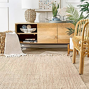nuLOOM Courtney Braided Indoor/Outdoor Area Rug, 4' x 6', Tan