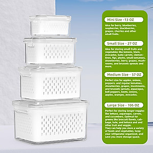HILETY 4 PCS Fruit Storage Containers for Fridge with Removable Colander, Dishwasher Safe Produce Saver Container for Refrigerator,Airtight Food Storage Container
