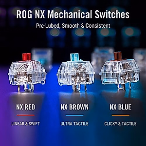 ASUS ROG Azoth 75% Wireless DIY Custom Gaming Keyboard, OLED Display, Three-Layer Dampening, Hot-Swappable ROG NX Red Switches & Keyboard Stabilizers, PBT Keycaps, RGB-Black (Renewed)