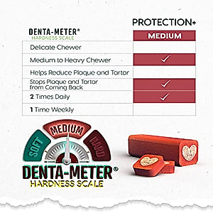 Ark Naturals Protection+ Brushless Toothpaste, Dog Dental Chews for Mini Breeds, Prevents Plaque & Tartar, Freshens Breath, 4oz, 1 Pack