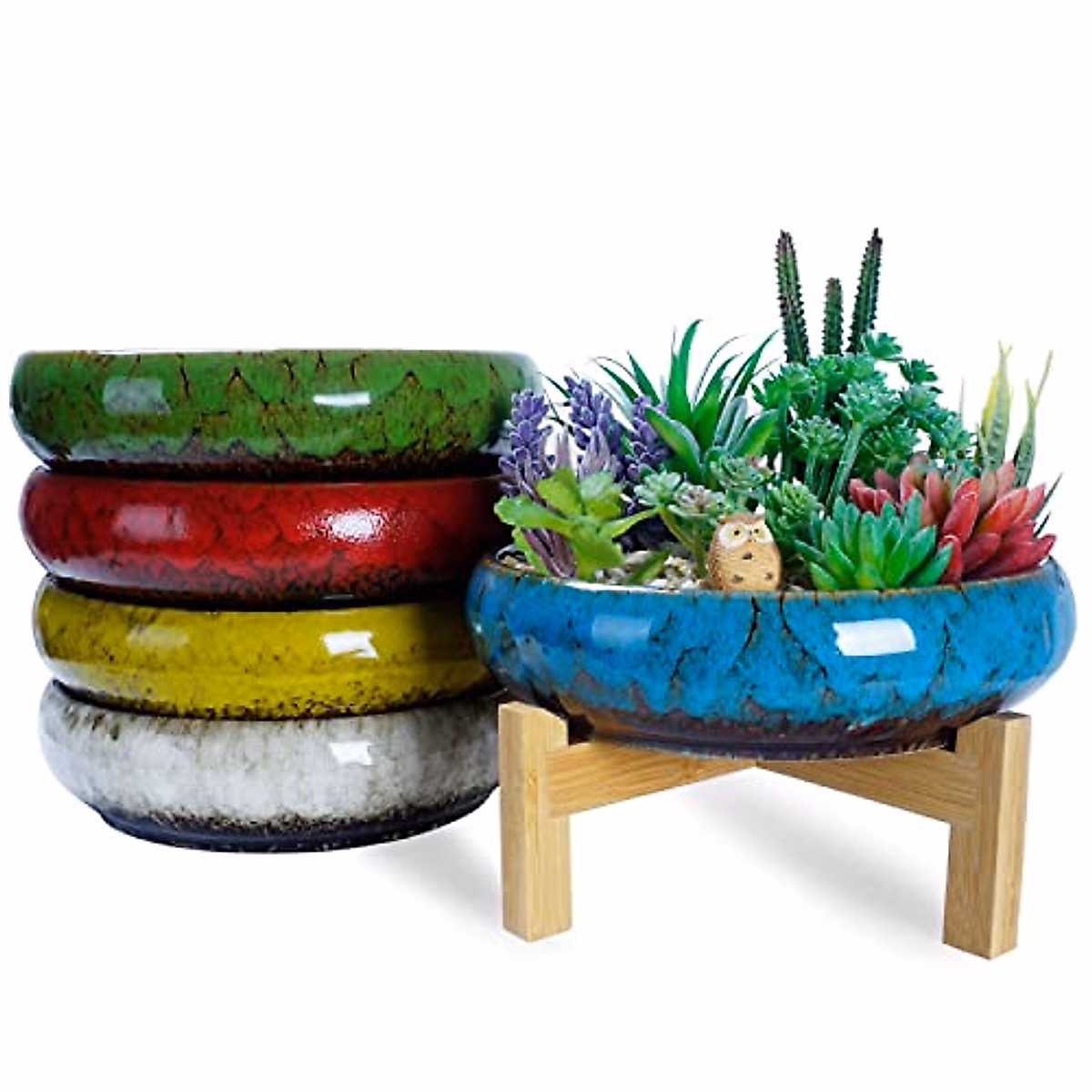 Succulent Pots - Large Succulent Planters Pots with Drainage, 10 Inch Ceramic Bonsai Pot with Stand Round Shallow Planter for Indoor/Outdoor Plants Decorative Garden Cactus Flower Container Bowl