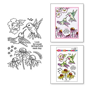 Spellbinders STP-193 Hummingbird Day Clear Stamp Set from The Stampendous Spring Collection