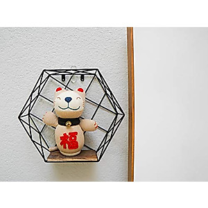 Admired By Nature Wall-Mounted Metal Wire Hanging Storage Shelves, A. Black