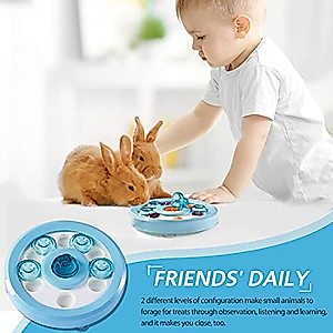 Antidious Interactive Pet Treat Game Rabbit Toys,Ferrets Toys, Slow Feeder Function Benefit for Digestion, Keep pet's Mind Active and Alert,Blue