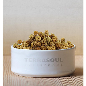 Terrasoul Superfoods Organic Sun-dried White Mulberries, 2 Lbs (Pack of 2), Sweet Superfood Snacking, Smoothie Booster, and Nutrient-Packed Yogurt Topping