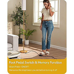 EDISHINE Modern Corner Floor Lamp with Remote, Stepless Dimmable Minimalist Reading Lamp, 65" Tall Pole Lamp for Living Room, Bedroom, Office, 9W LED Bulb Included (Gold)