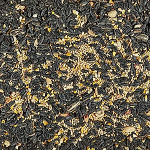 Kaytee Wild Bird Songbird Blend Food Seed, 35 Pounds