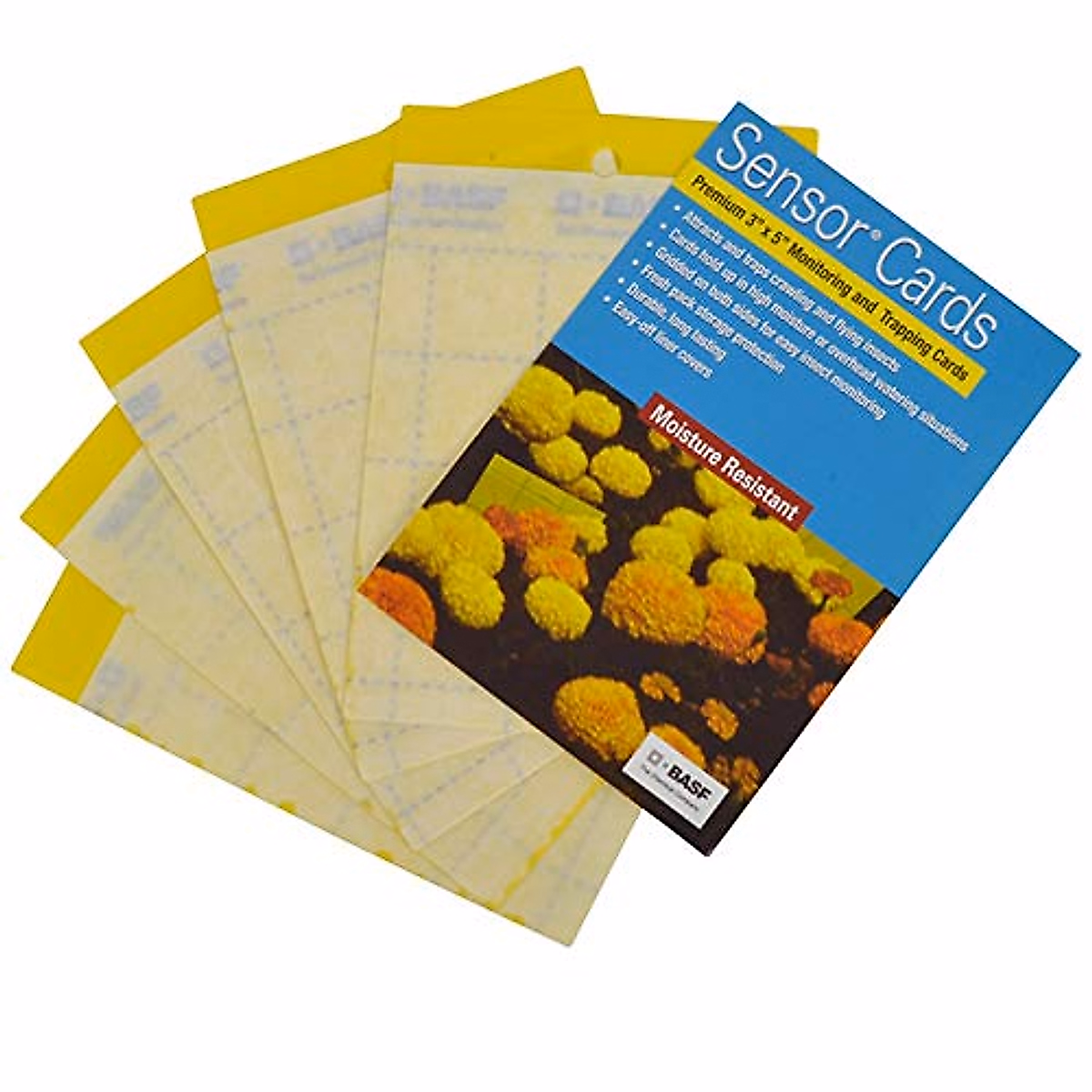 BASF Sensor Cards - Premium 3-inch x 5-inch Monitoring and Trapping Cards (50pk)