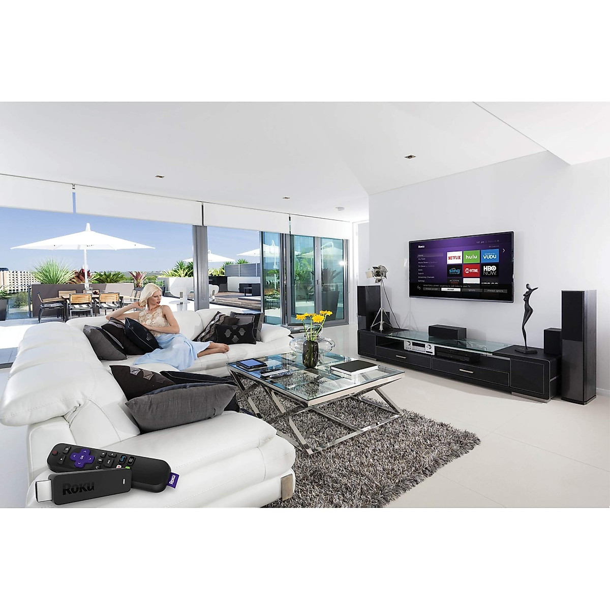 Roku 3810XB Streaming Stick Video Converter