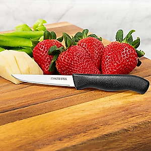 Brenium Paring and Garnishing Knife, 12-Piece Set, Knives with Straight Edge 3 Inch Blade, Stainless Steel, Spear Point, Fruit and Vegetable Cutting and Peeling, Black